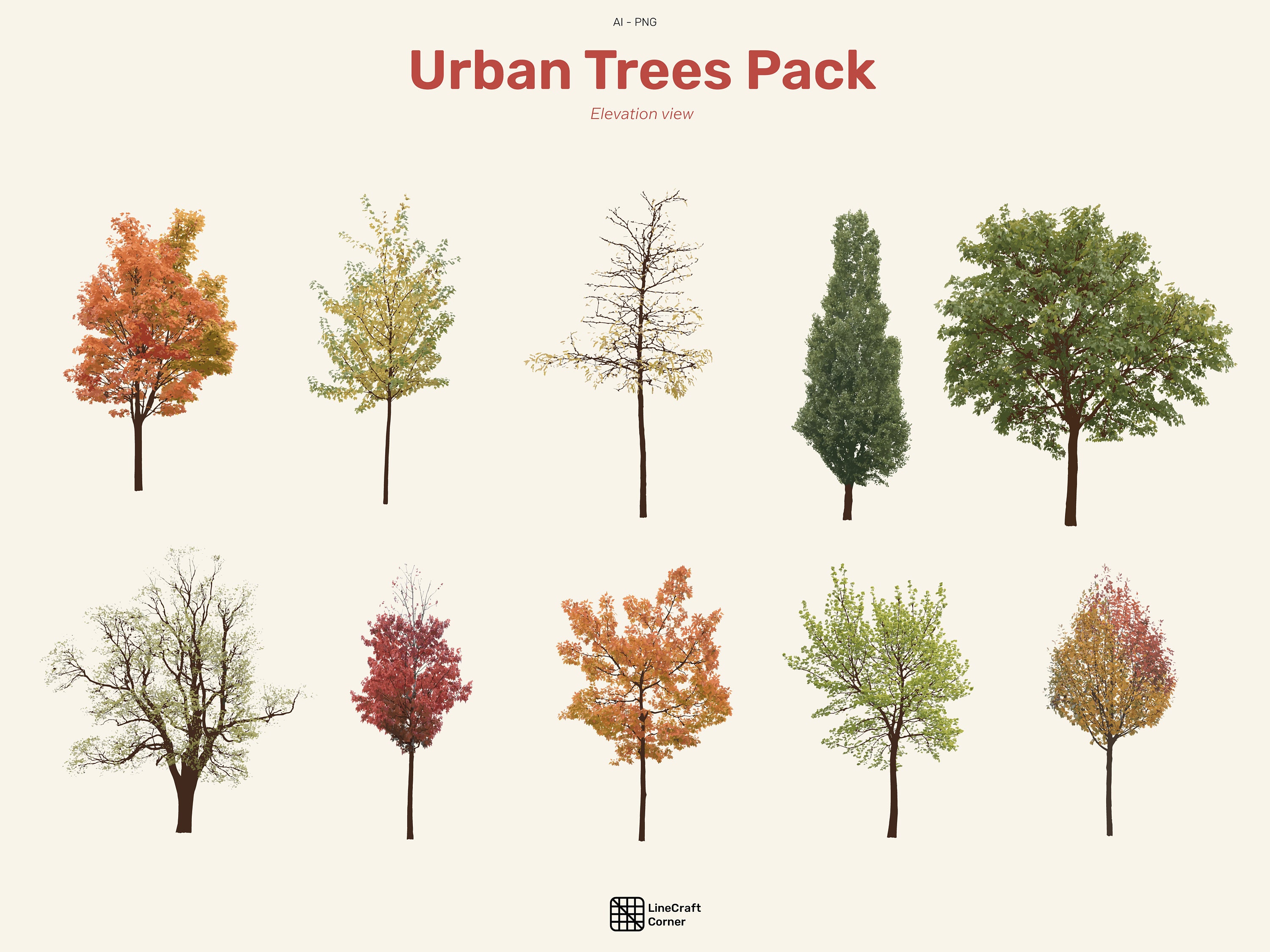 Flat Vector Urban Trees Pack, Set of 10 Vector Plants - Etsy