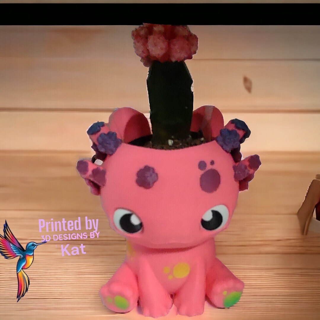 3D Printed Flower Axolotl Planter - Etsy