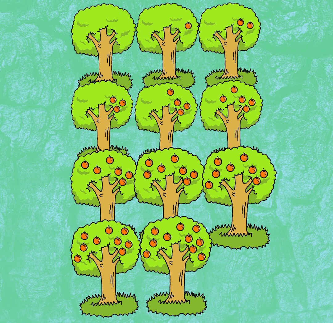 Counting Pictures: Oranges | Oranges PNG Files | Oranges Cut Files ...