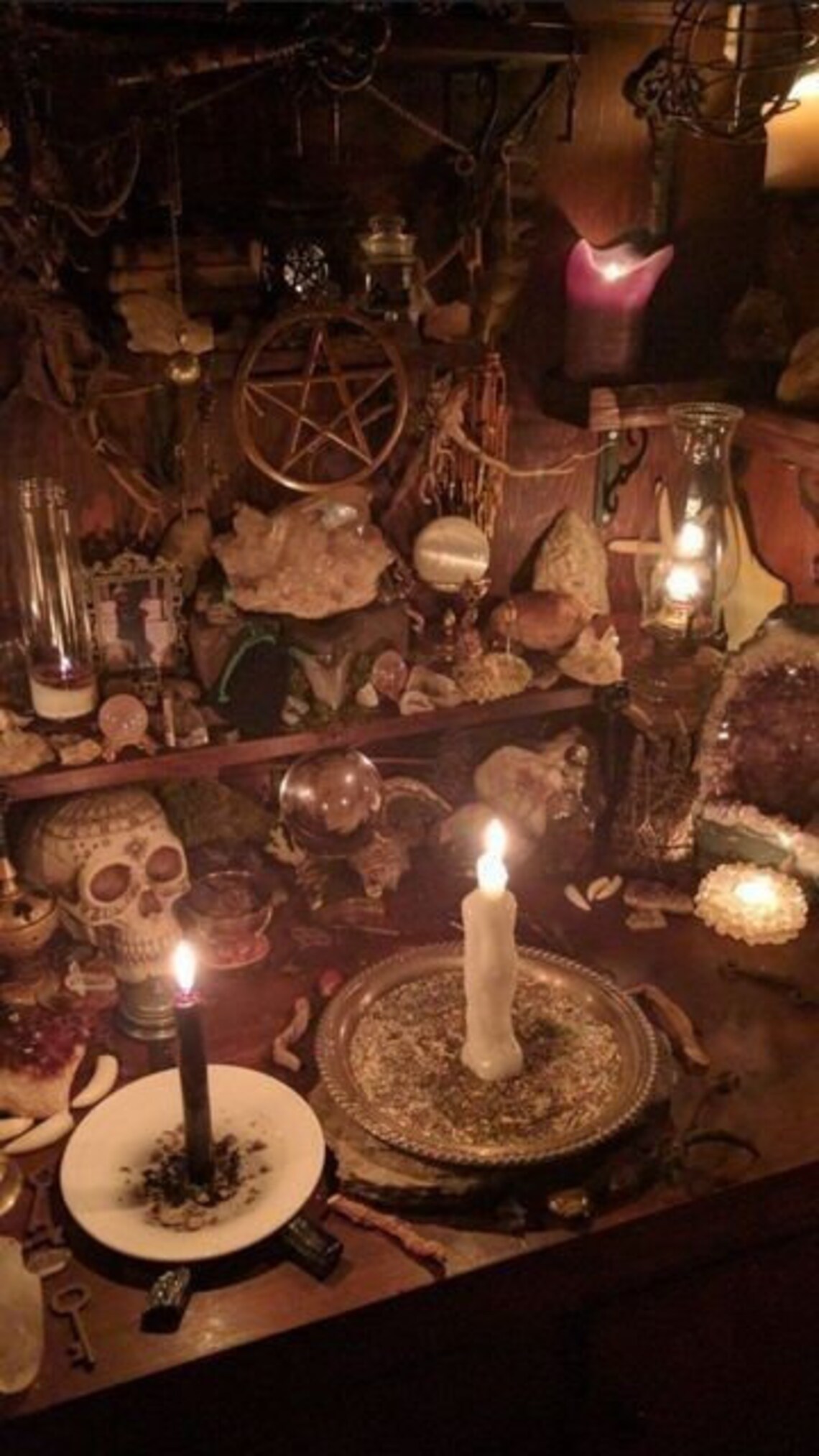 Animal Friendship - Etsy