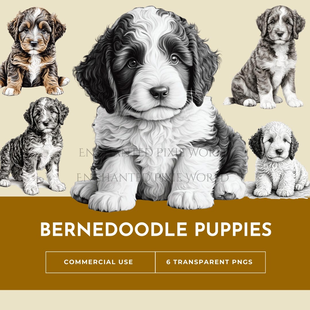 Cute Bernedoodle Puppy Clipart Pack, Watercolor Doodle Art, Cuddly ...