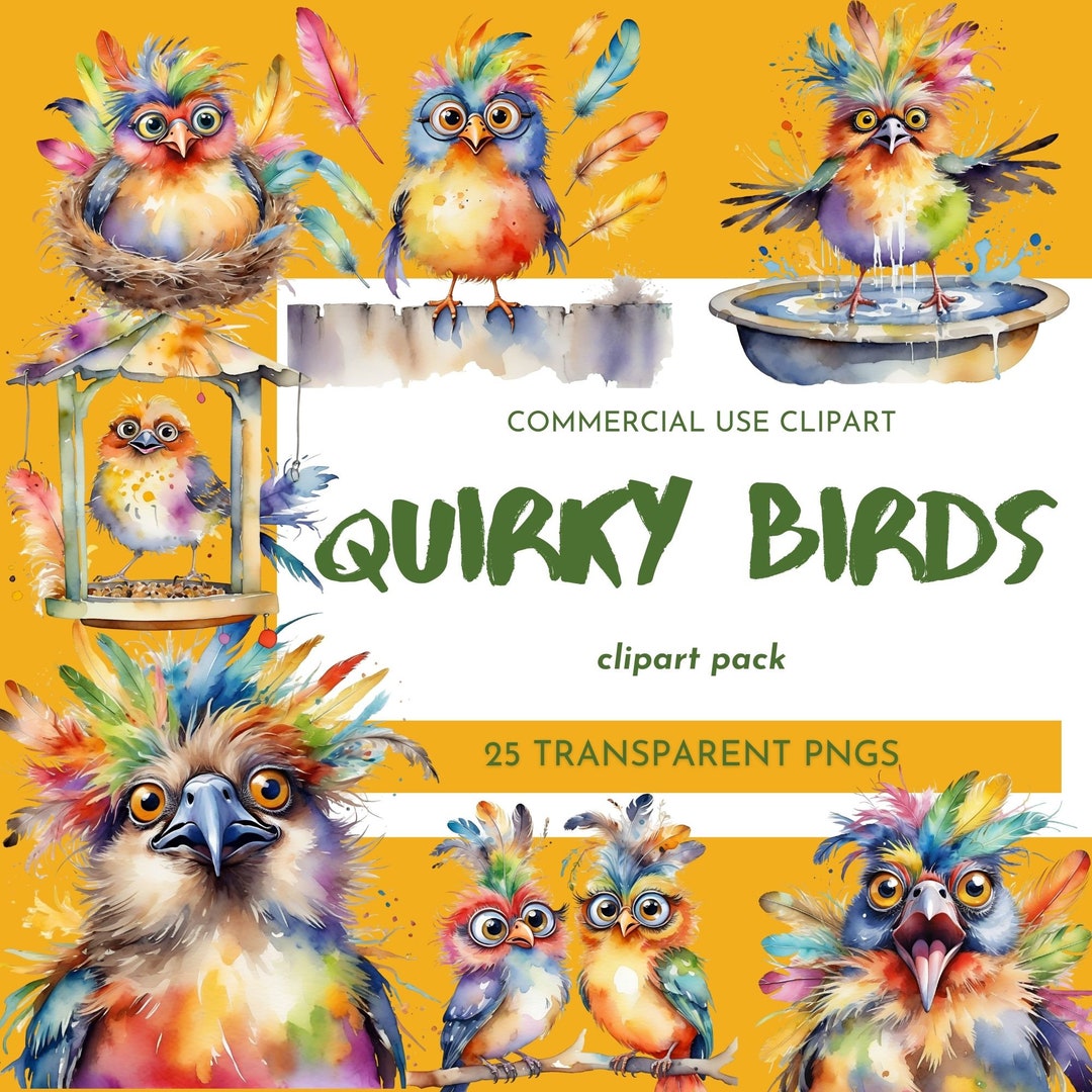 Mad Funny Quirky Birds Clipart Pack Fence Nest Birdbath Digital Art ...