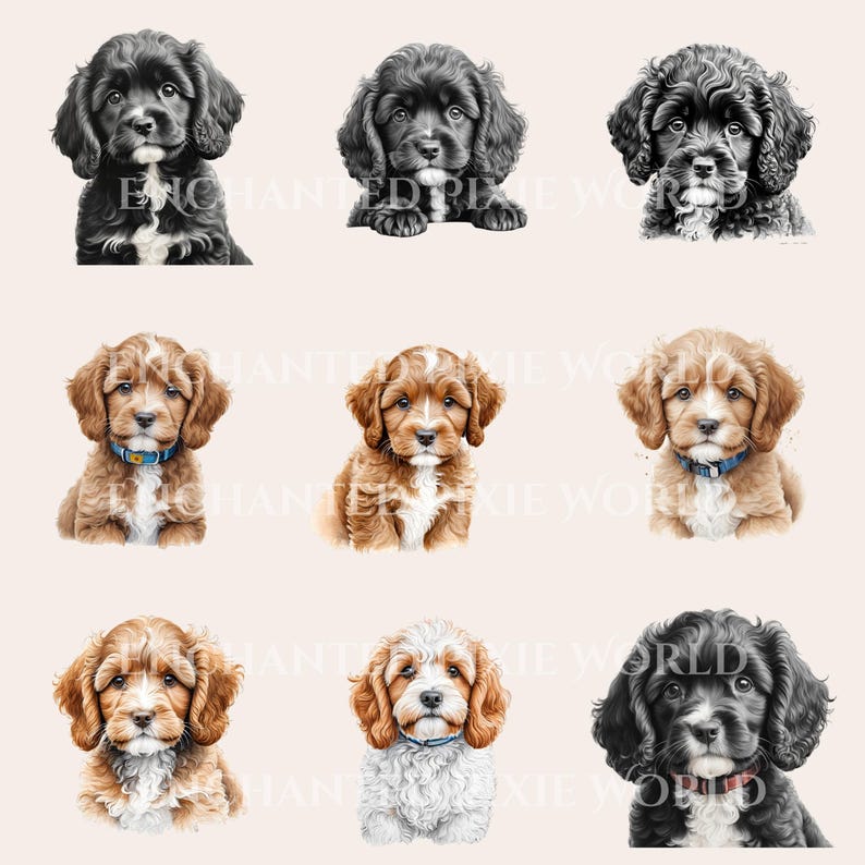 Adorable Cavapoo Puppy Clipart Pack - Realistic Watercolour Style ...