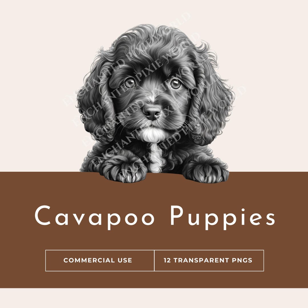 Adorable Cavapoo Puppy Clipart Pack - Realistic Watercolour Style ...