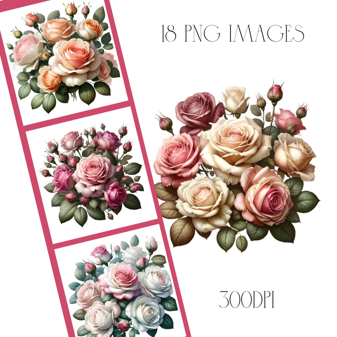 Roses Clipart, Floral Clipart, Digital Downloads, 18PNG, Clipart Images ...