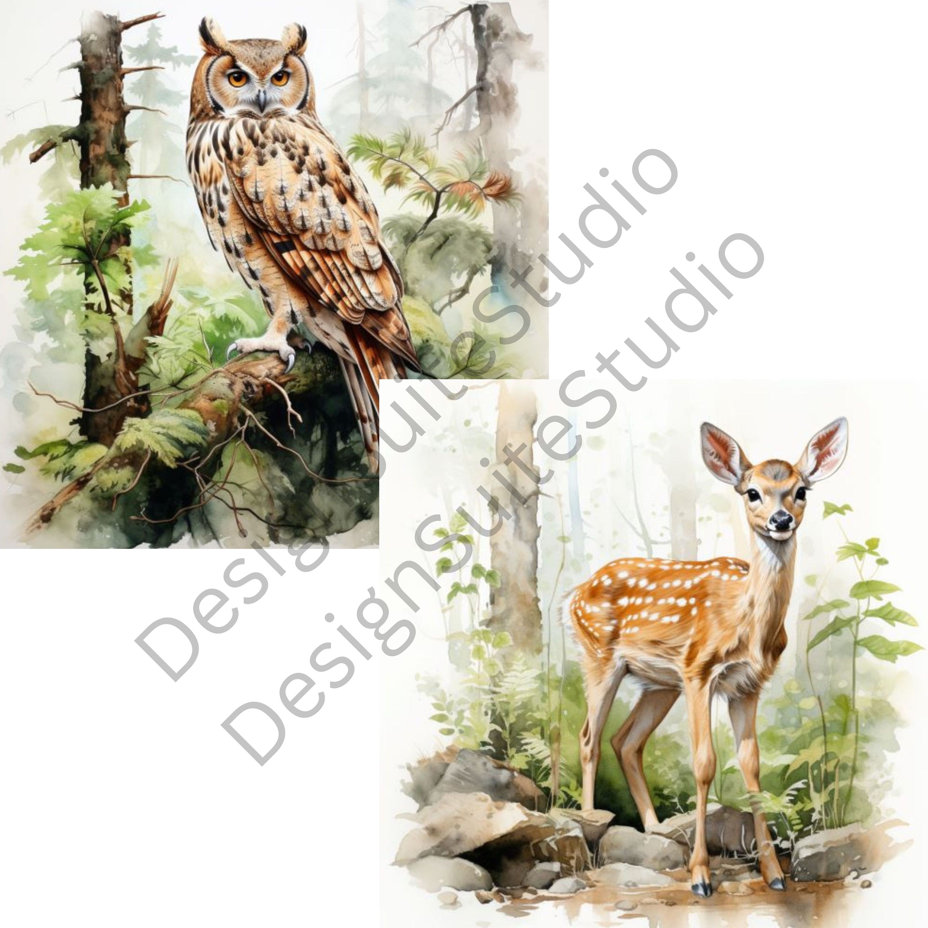 Woodland Animals, Woodland Clipart, 12JPG, Clipart Images, British ...