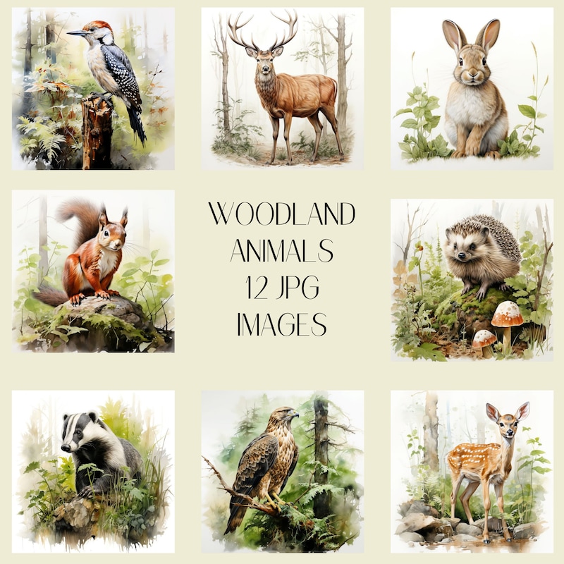 British Wildlife Digital - Etsy UK