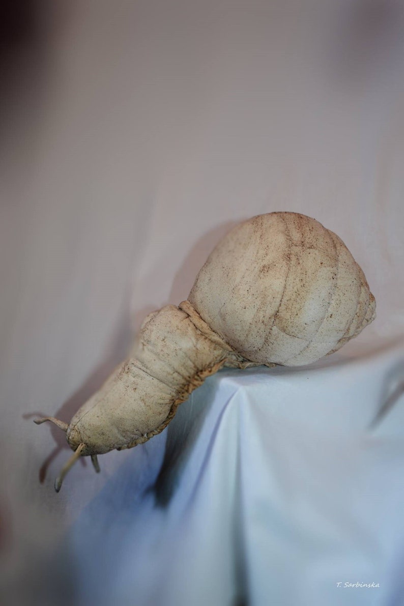 Textile Sculpture - Whimsical Decor and Collectible Handcrafted Snail ...
