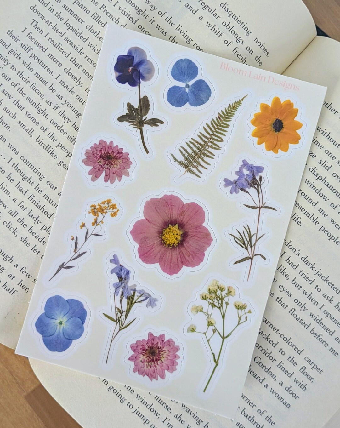 Pressed Flower Sticker Sheet: Floral Daisy Decals - Etsy