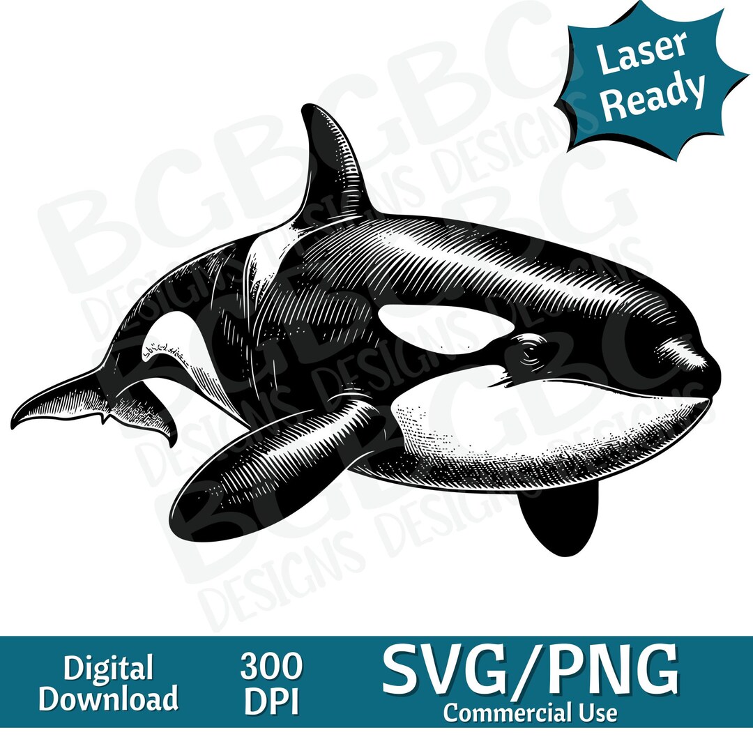 Killer Whale SVG PNG, Orca, Ocean Svg Vector Graphic, Laser Engraver ...