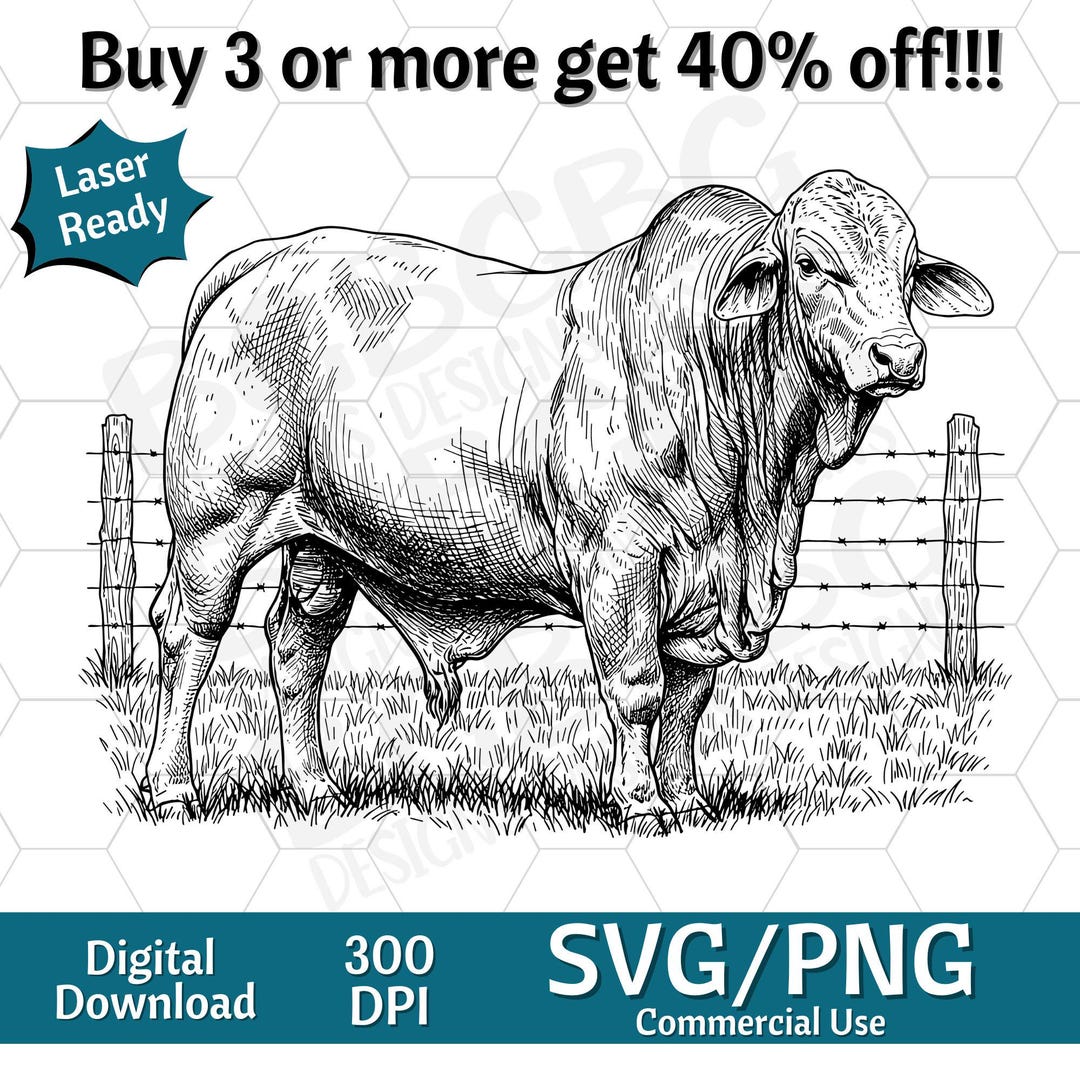 Drought Master Bull SVG, Animal Clipart, Cute Animal, Farm, Vector ...