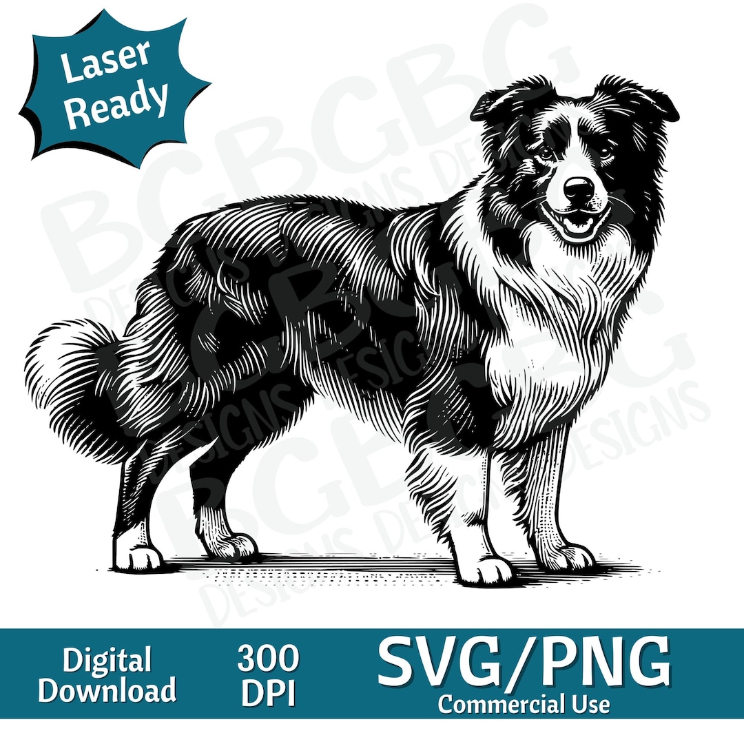 Border Collie SVG PNG, Vector Graphic, Laser Engraver, Cnc, Clip Art ...