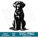 Labrador Retriever Svg, Lab Clipart, Cnc, PNG, EPS, Clipart, Hunting ...