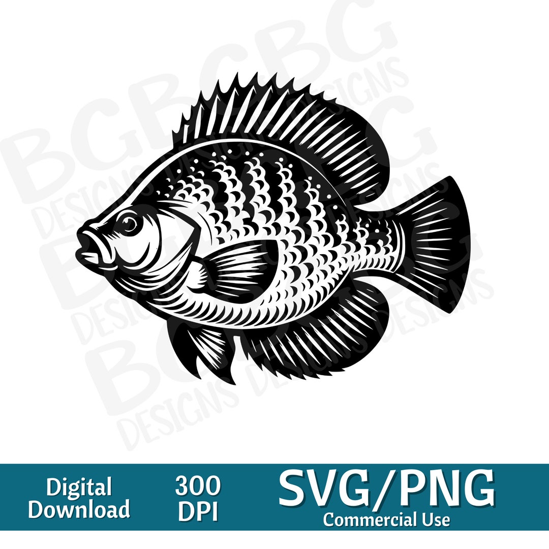 Sun Perch SVG, Perch SVG, Bream SVG, Svg, Png, Vector Graphic, Laser ...