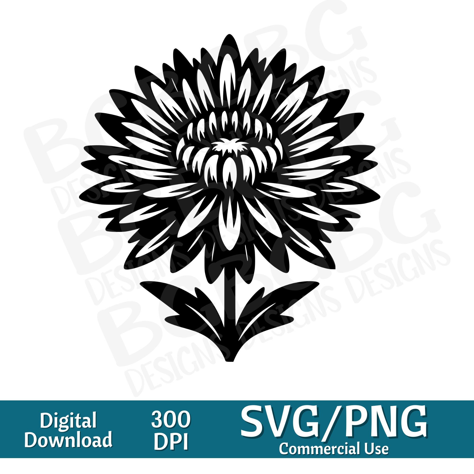 Aster Flower SVG PNG, Cricut, Silhouette, Cameo, Instant Download ...