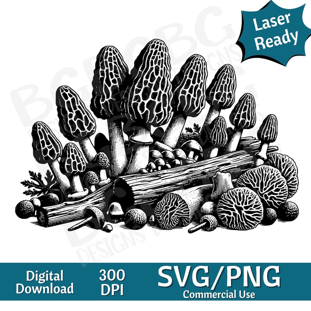 Morel Mushrooms SVG PNG, Vector Graphic, Laser Engraver, Cnc, Clip Art ...