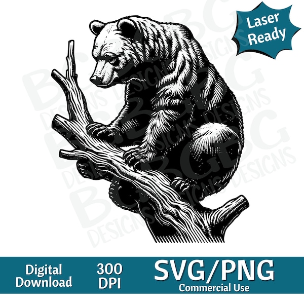 Bear in Tree Svg - Etsy