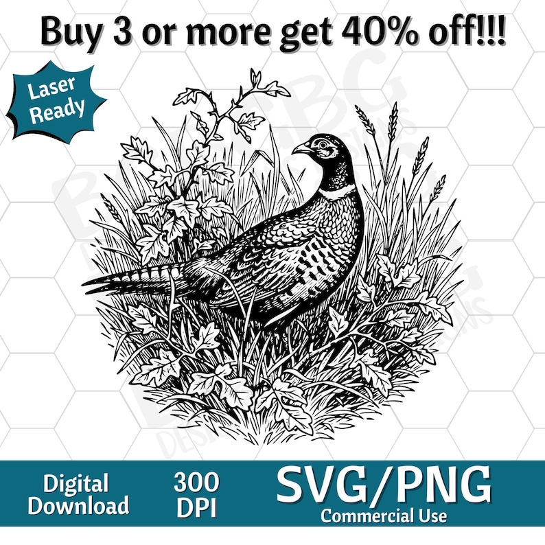 Pheasant SVG PNG, Vector Graphic, Laser Engraver, Cnc, Clip Art, Laser ...