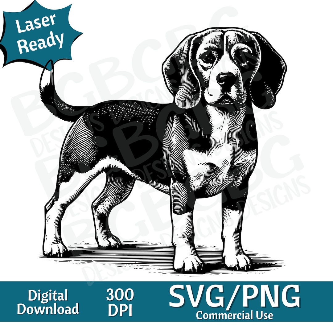 Beagle SVG PNG, Vector Graphic, Laser Engraver, Cnc, Clip Art, Laser ...