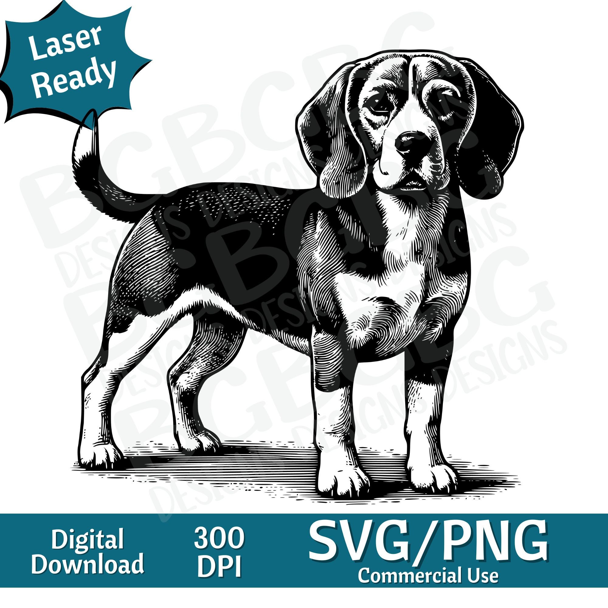 Beagle SVG PNG, Vector Graphic, Laser Engraver, Cnc, Clip Art, Laser ...