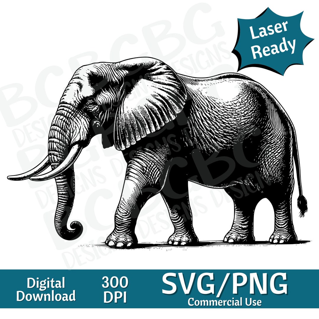 Elephant Full Body SVG PNG, Vector Graphic, Laser Engraver, Cnc, Clip ...