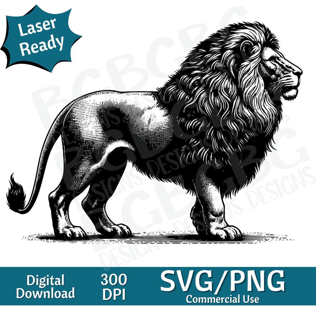 Lion Full Body SVG PNG, Vector Graphic, Laser Engraver, Cnc, Clip Art ...