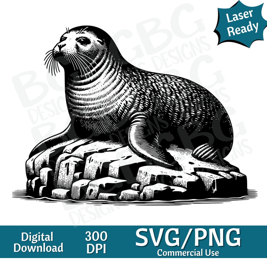 Seal on Rock SVG PNG, Ocean Svg Vector Graphic, Laser Engraver, Cnc ...