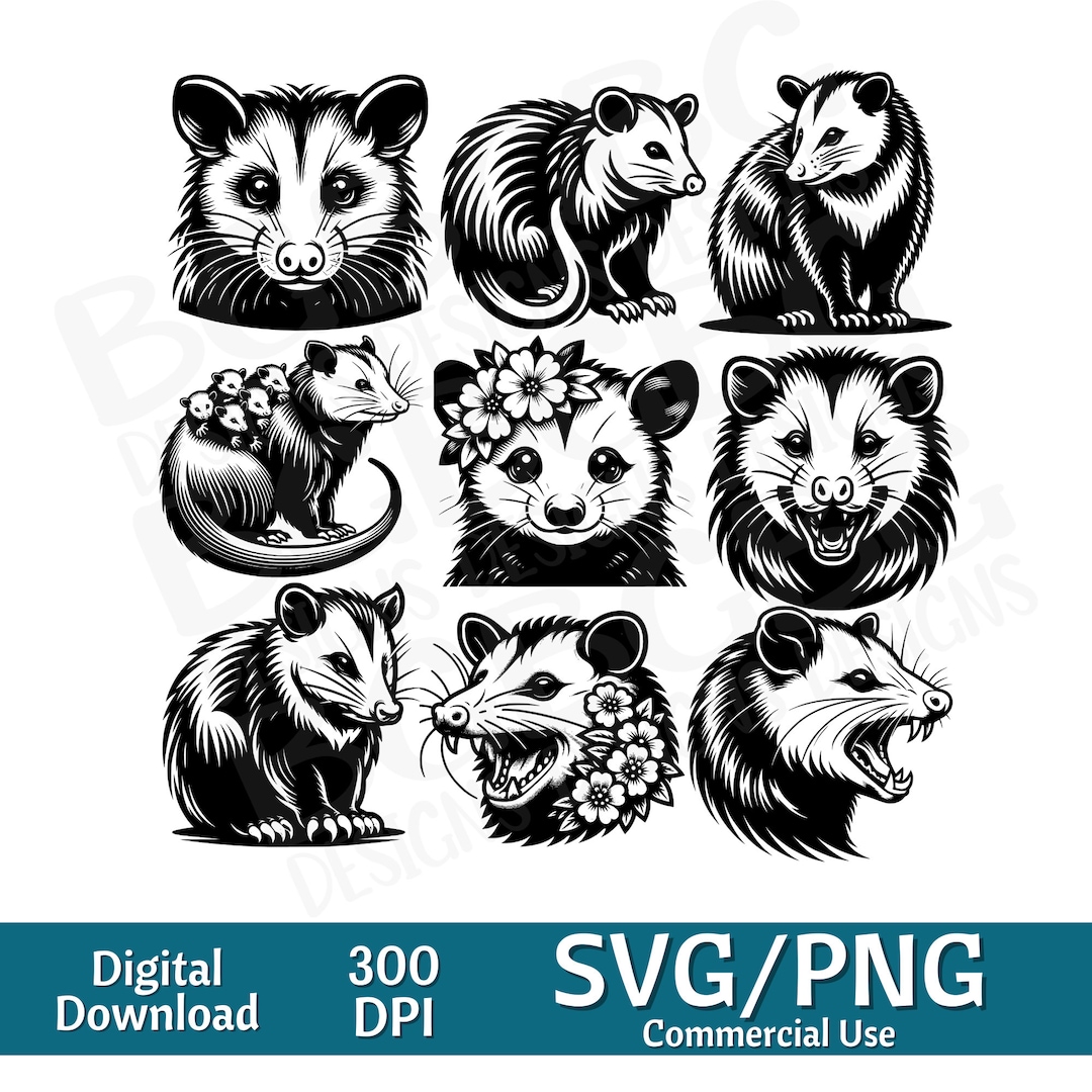 Opossum SVG Bundle, 11 Files, Opossum Head Svg, Opossum Clipart ...