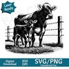 Black Angus Head SVG, Animal Clipart, Cute Animal, Farm, Vector Graphic ...