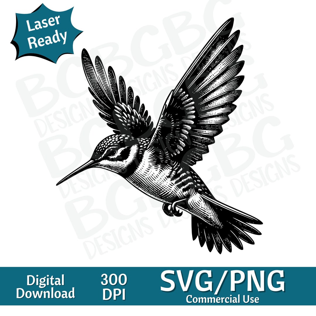 Hummingbird SVG PNG, Vector Graphic, Laser Engraver, Cnc, Clip Art ...