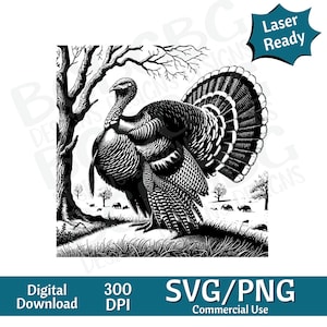 Turkey Strutting in Field SVG PNG, Turkey Silhouette, Laser Ready ...