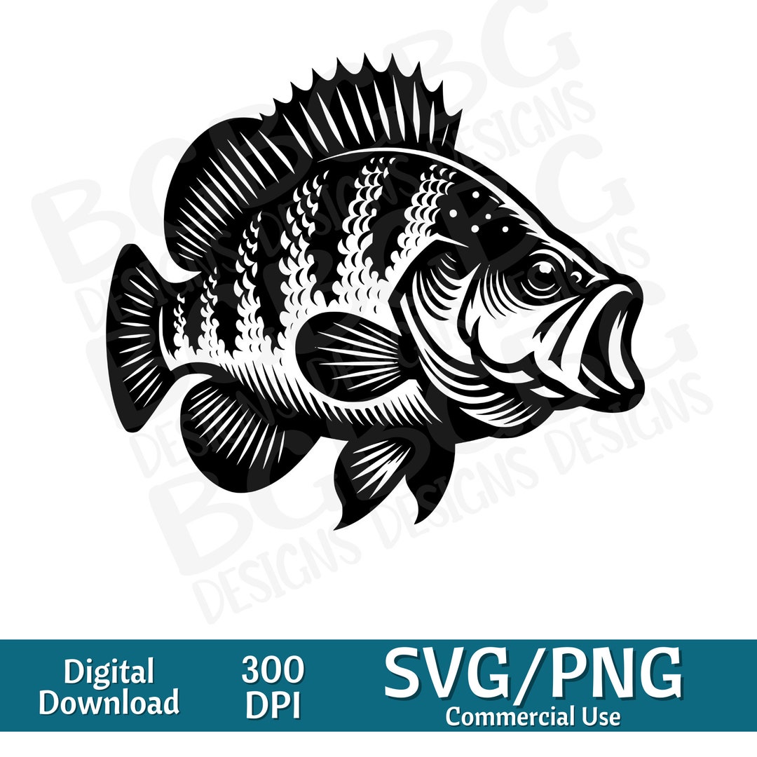 Crappie SVG, White Perch SVG, Sac-a-lait SVG, Svg, Png, Vector Graphic ...