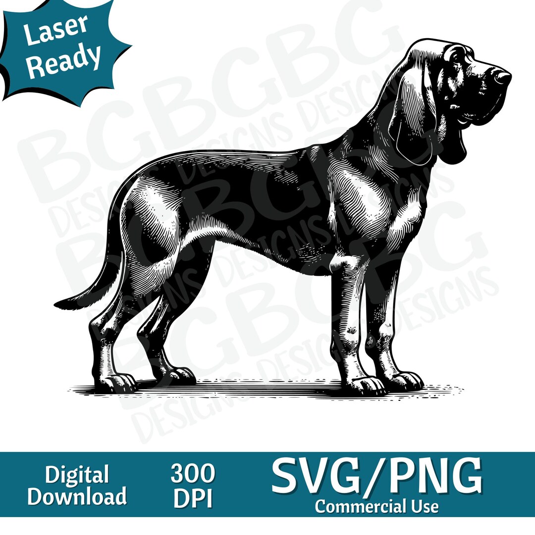 Bloodhound SVG PNG, Vector Graphic, Laser Engraver, Cnc, Clip Art ...