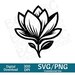 Magnolia Flower SVG PNG, Cricut, Silhouette, Cameo, Instant Download ...