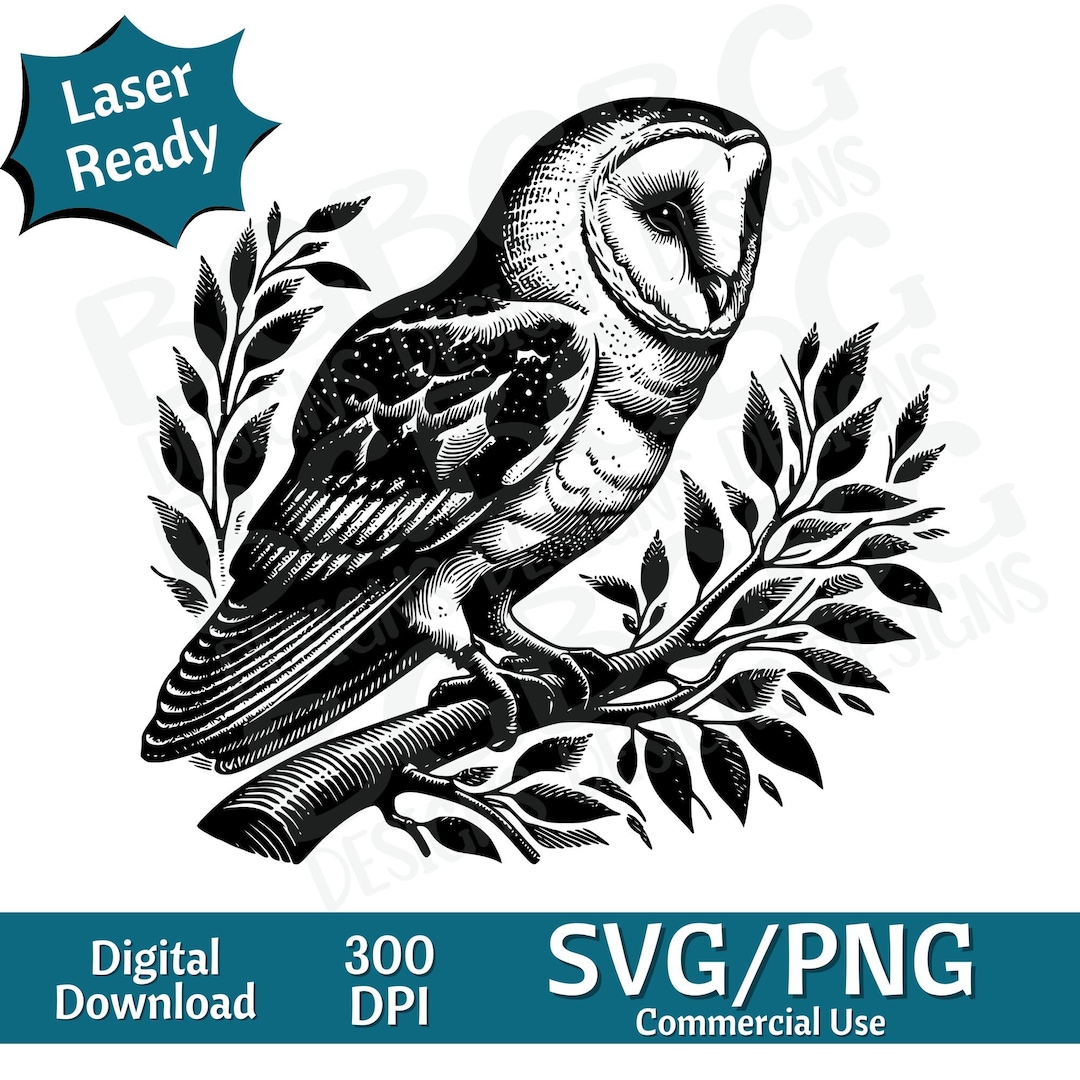 Barn Owl on Branch SVG PNG, Vector Graphic, Laser Engraver, Cnc, Clip ...