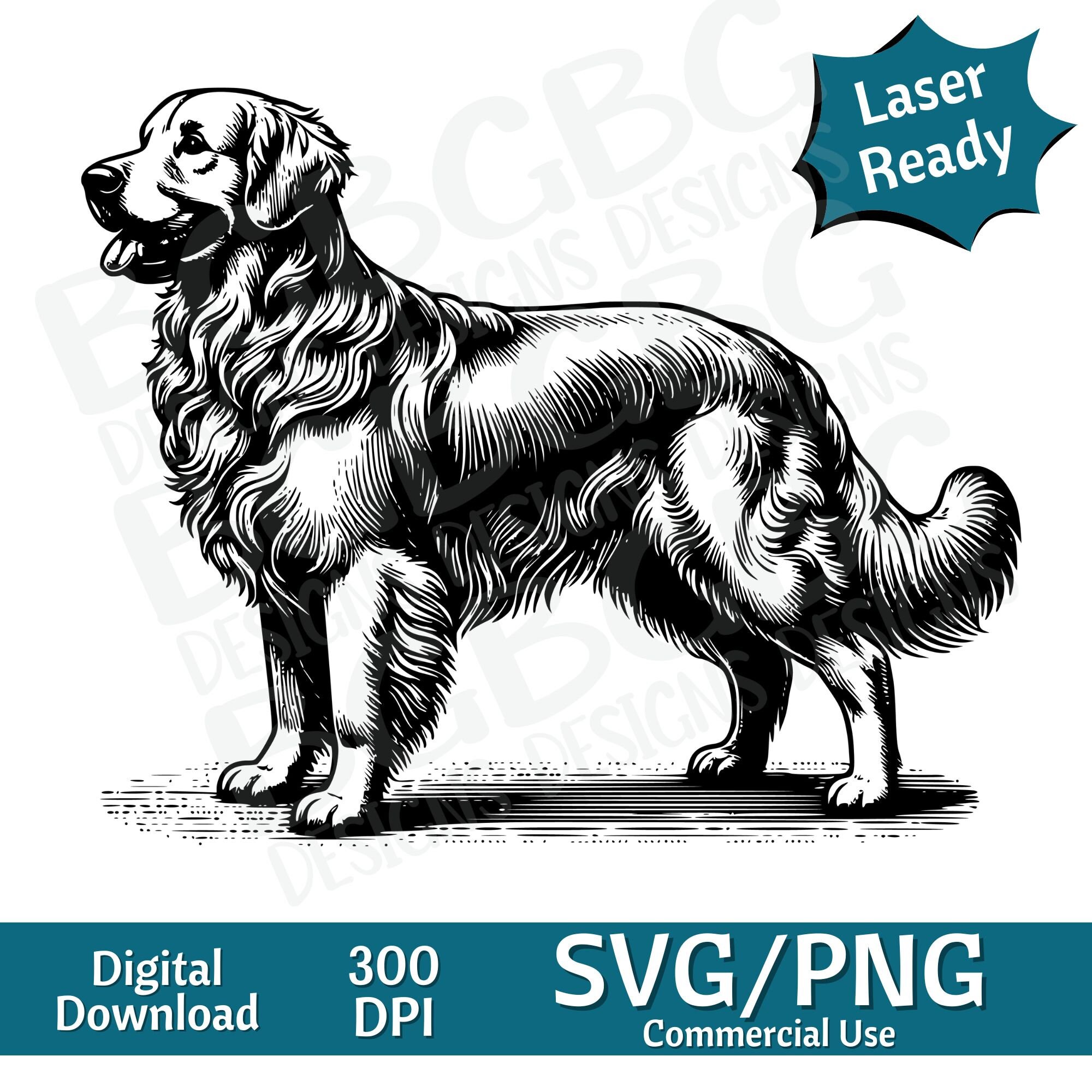 Golden Retriever SVG PNG, Vector Graphic, Laser Engraver, Cnc, Clip Art ...