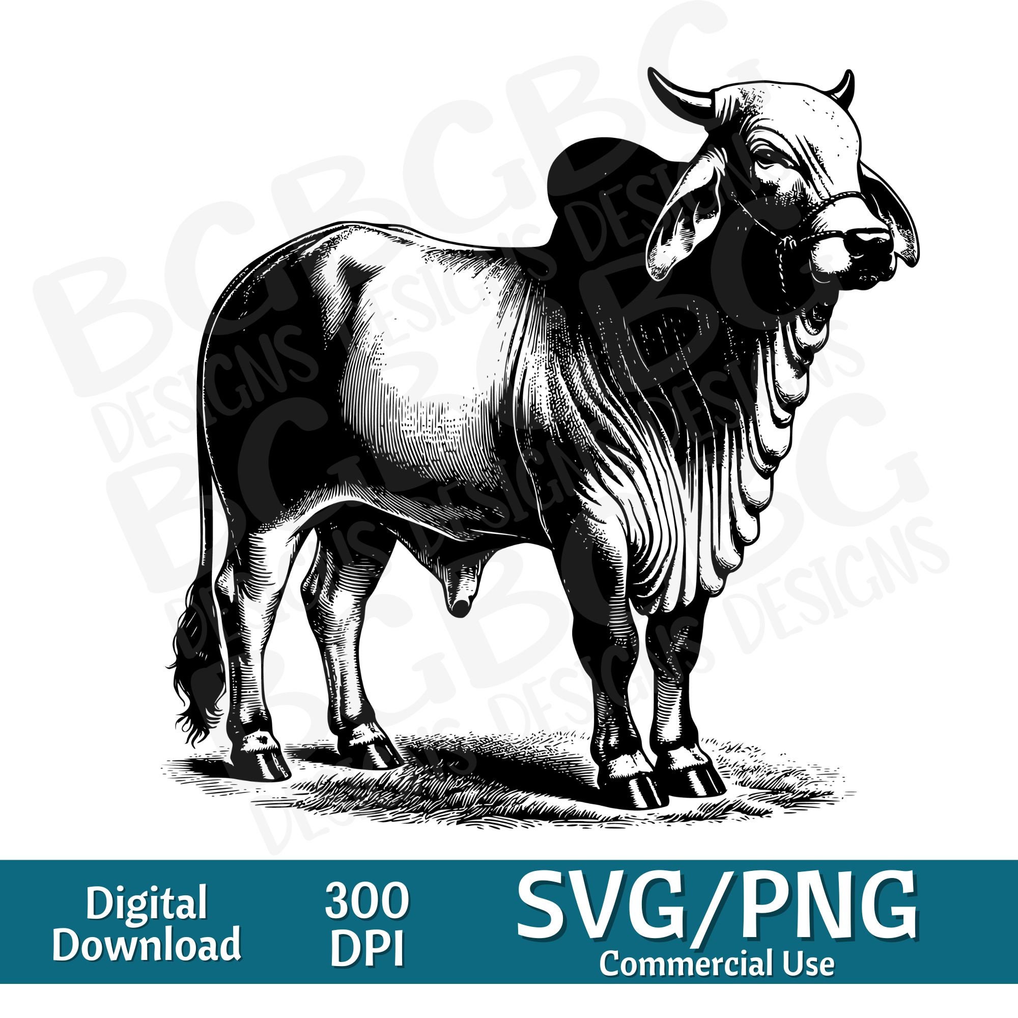 Brahman Bull SVG, Animal Clipart, Cute Animal, Farm, Vector Graphic ...