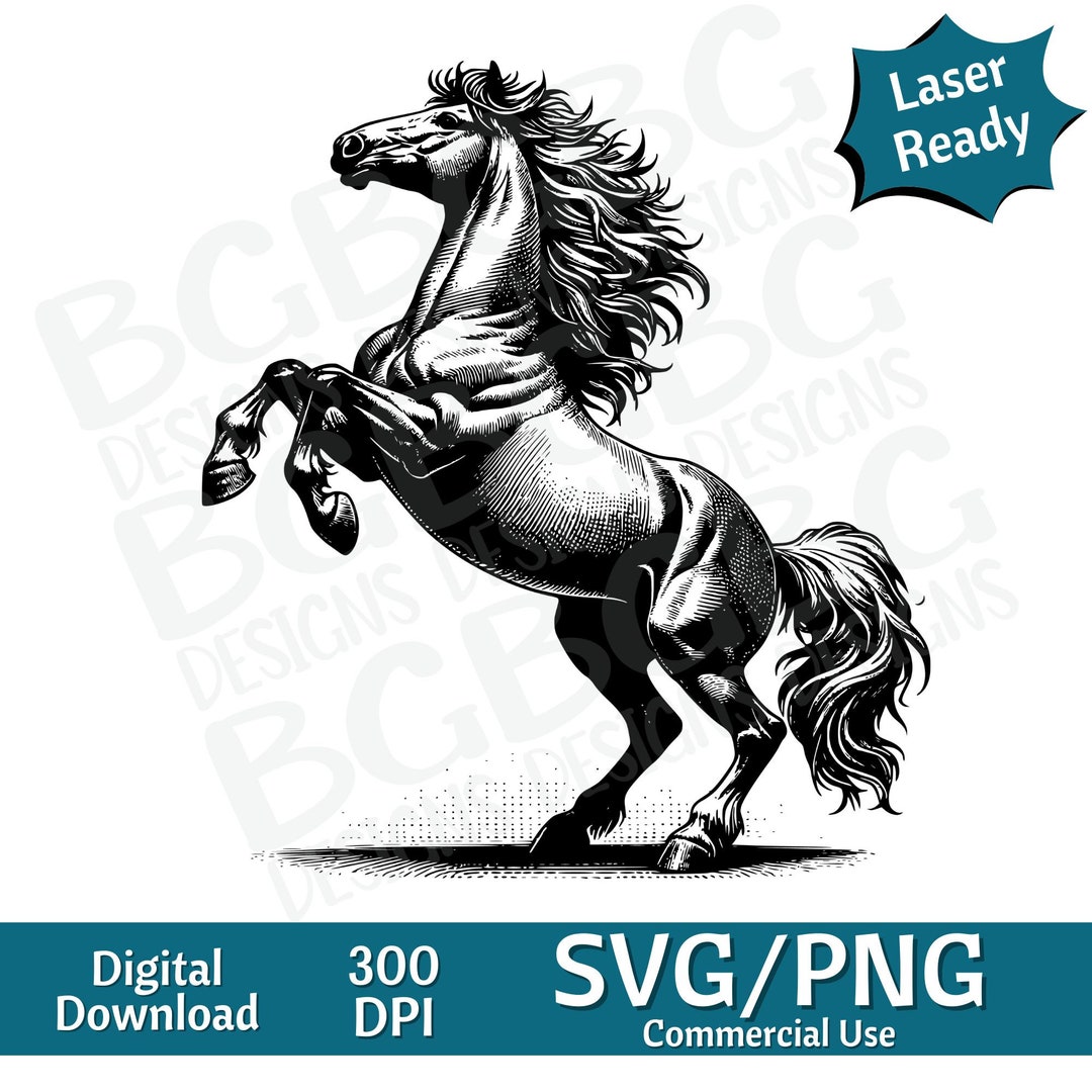 Rearing up Horse SVG PNG, Rodeo, Horse Riding PNG, Vector Graphic, Cut ...