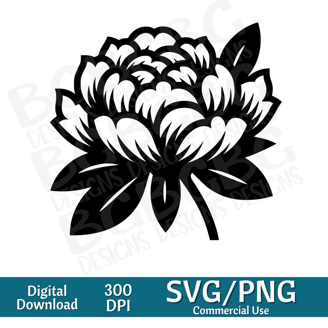 Peony Flower SVG PNG, Cricut, Silhouette, Cameo, Instant Download ...