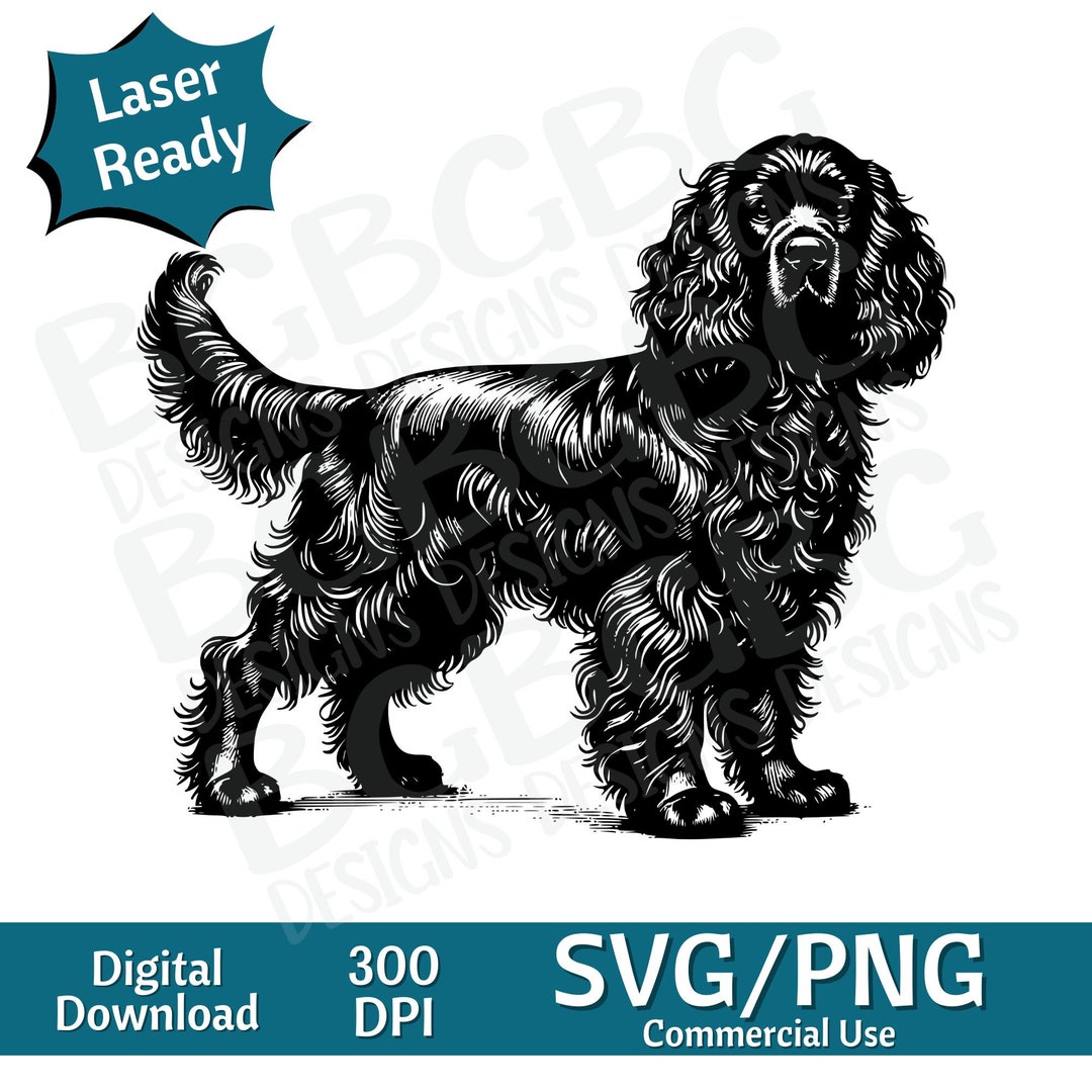 Boykin Spaniel SVG PNG, Vector Graphic, Laser Engraver, Cnc, Clip Art ...
