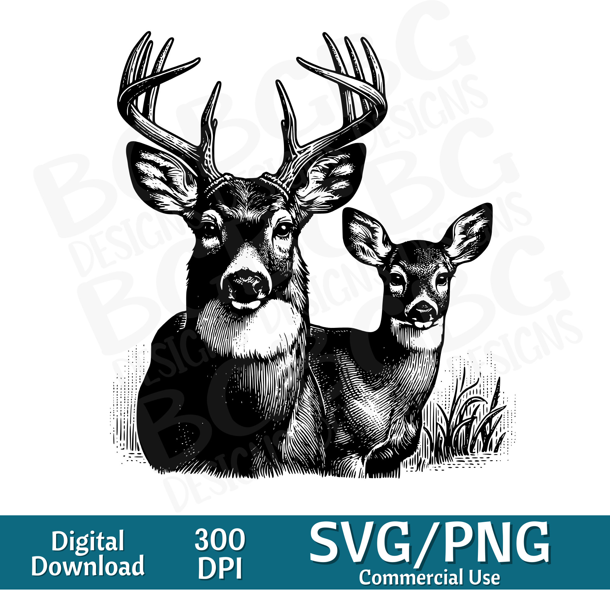 Buck and Doe SVG, Buck Clipart, Whitetail Svg, Hunting Svg, Deer ...