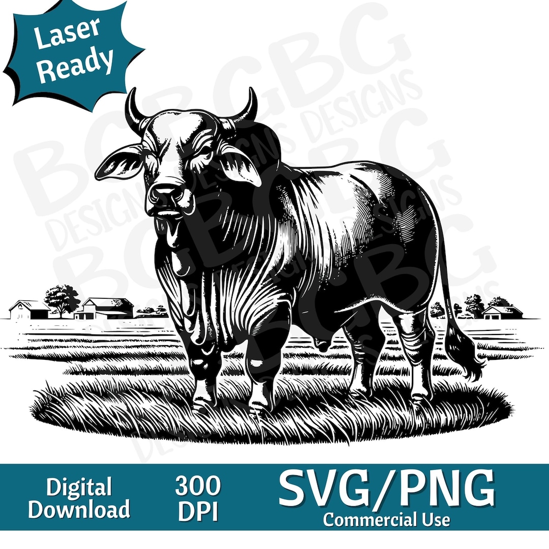 Brahman Bull in Pasture SVG, Animal Clipart, Cute Animal, Farm, Vector ...