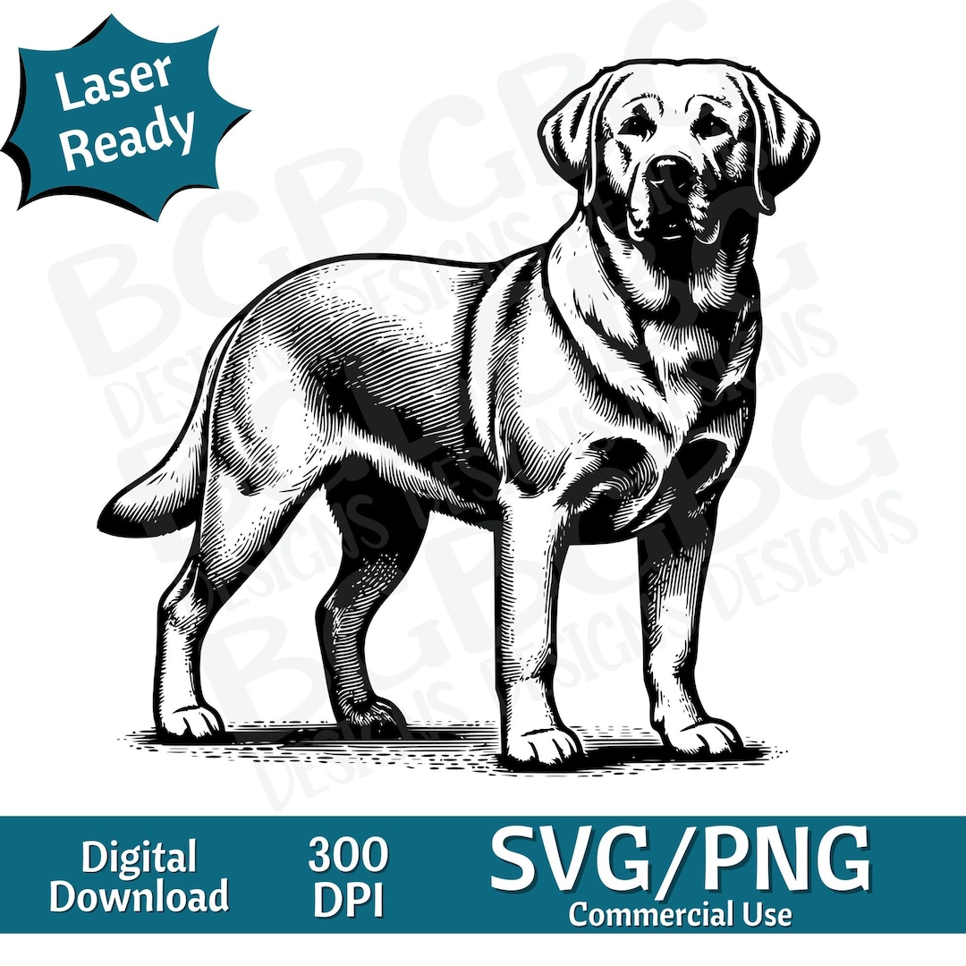 Yellow Labrador Retriever SVG PNG, Vector Graphic, Laser Engraver, Cnc ...