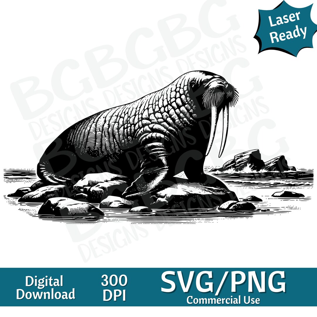 Walrus SVG PNG, Ocean Svg Vector Graphic, Laser Engraver, Cnc, Clip Art ...