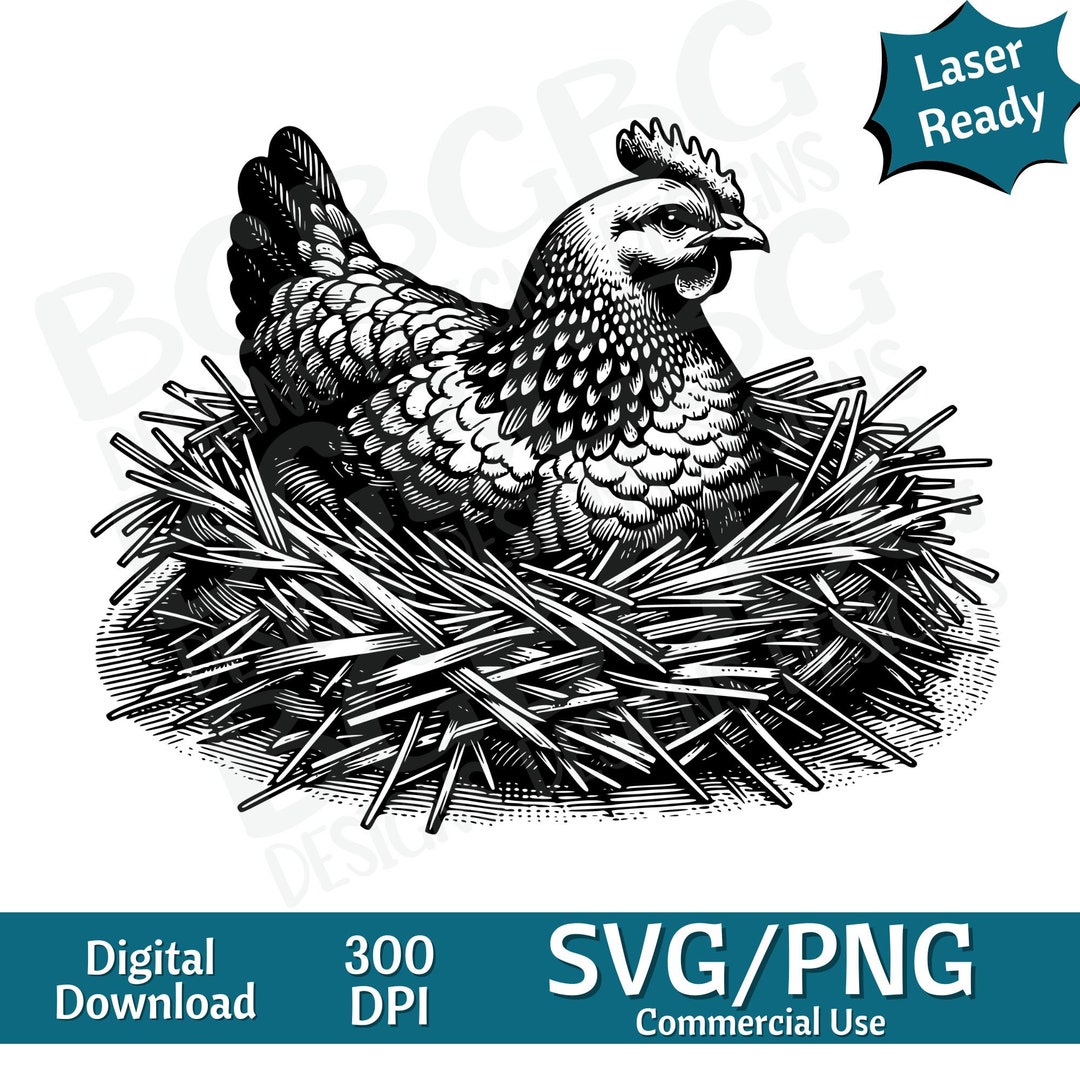 Chicken Sitting on Nest SVG PNG, Chicken, Farm, Vector Graphic, Laser ...
