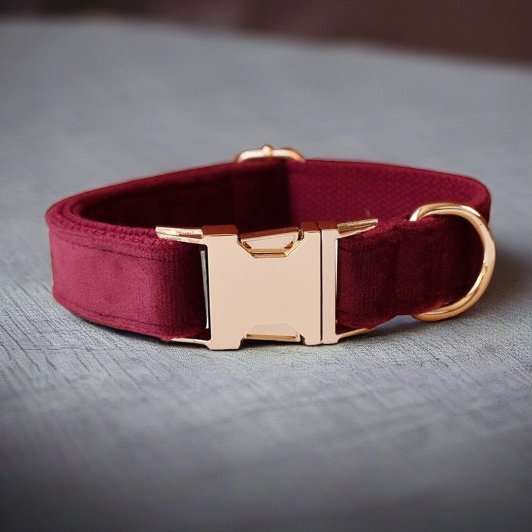Personalised Dog Leash Red Collar Customisable Collar - Etsy UK