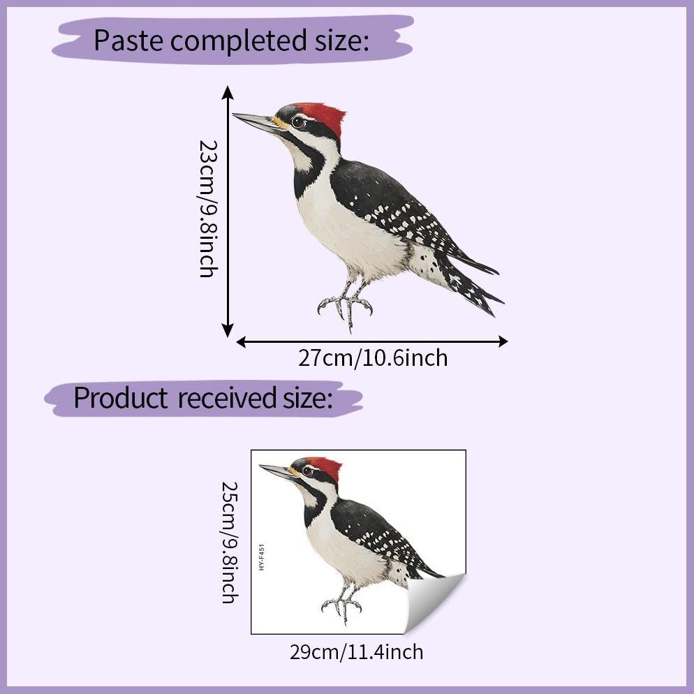 Realistic Woodpecker Window Decal – Bird Stickers – Nature Wall Art for ...