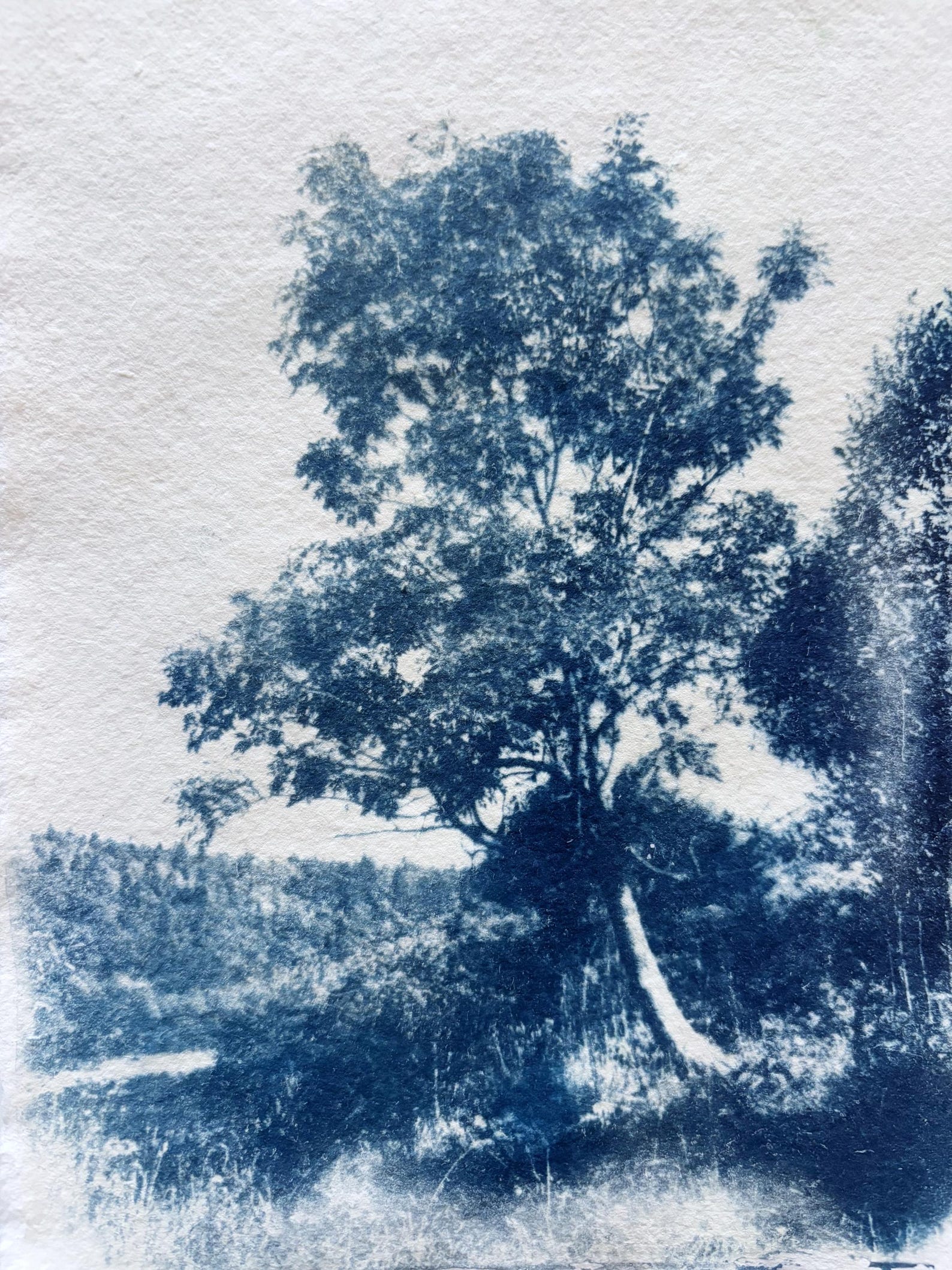 Original Cyanotype Landscape on Handmade Paper. Created From Analog ...