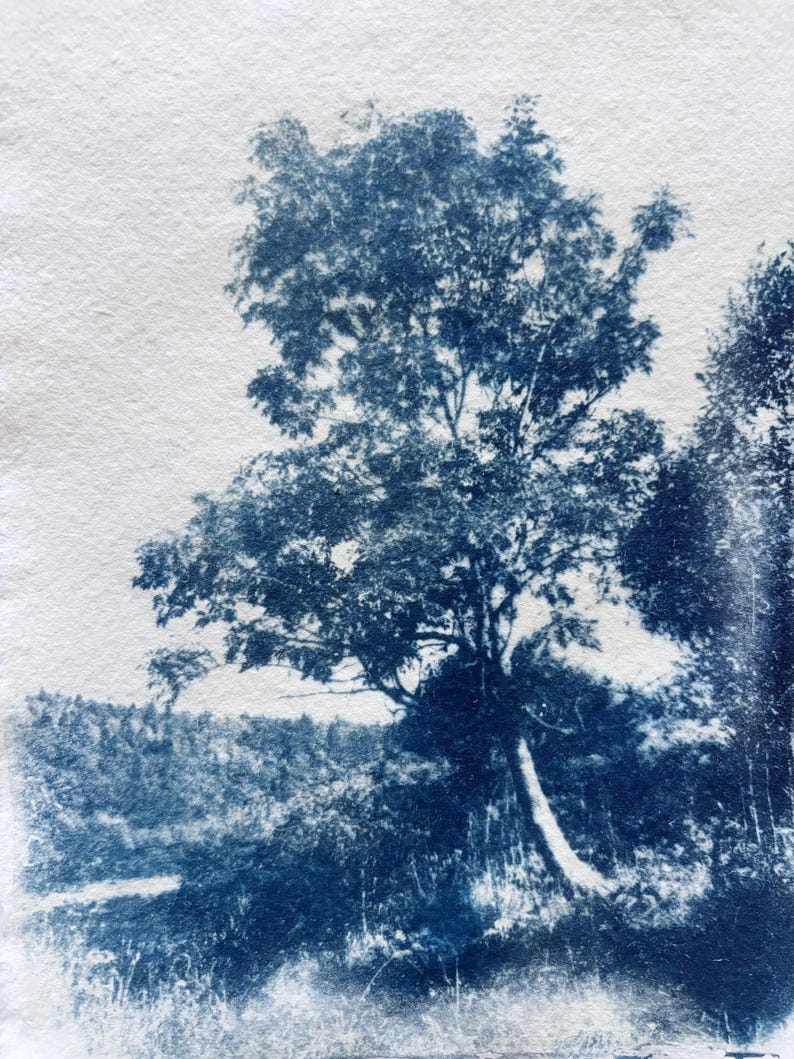 Original Cyanotype Landscape on Handmade Paper. Created From Analog ...