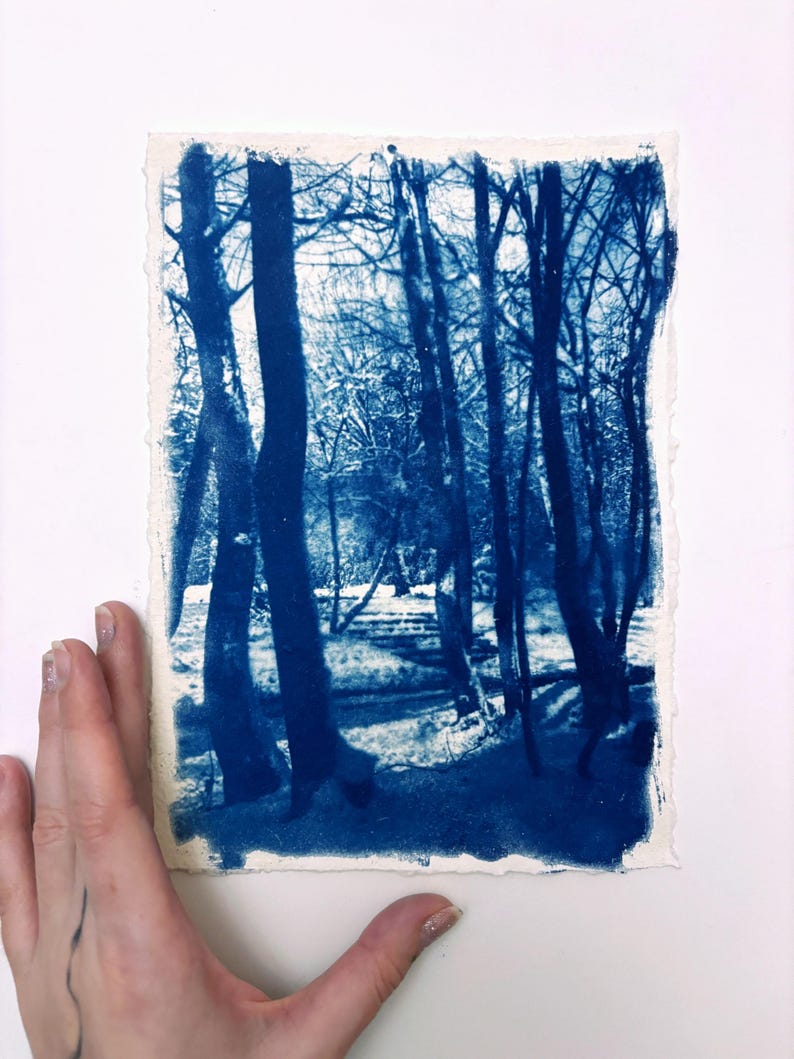 Original Cyanotype Forest. Handmade Cotton Paper, 21×15 Cm, Analog ...